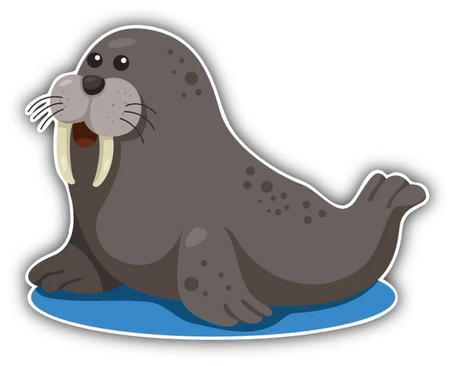 DOPASTICKER Cute Walrus Sticker Decal Phone Decal Water Bottle Stickers ...