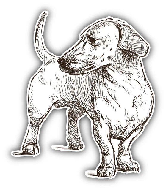 DOPASTICKER Dachshund Breed Dog Sketch Sticker Decal Phone Decal Water ...