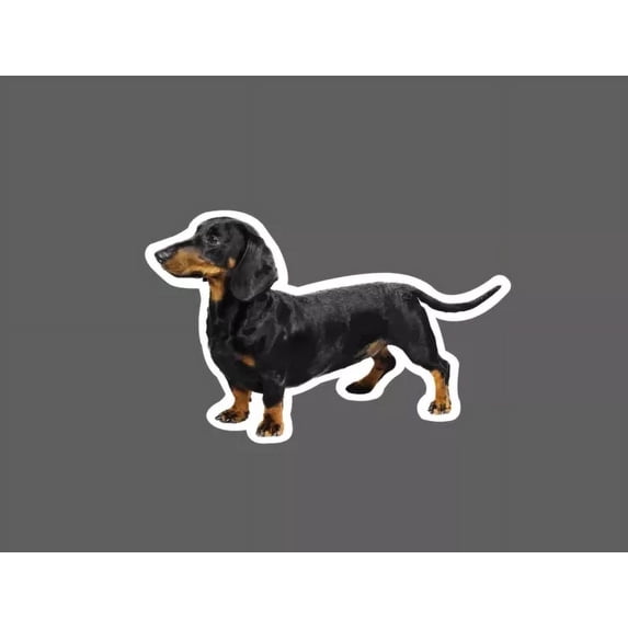 DOPASTICKER Dachshund Dog Friend Waterproof Decorative Laptop, Phone ...
