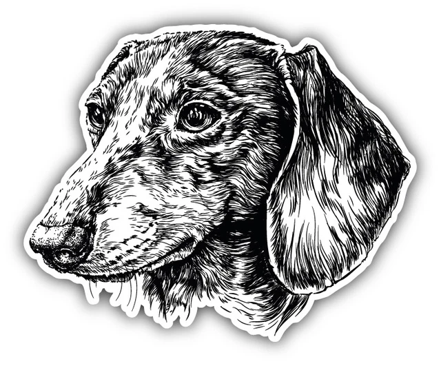 DOPASTICKER Dachshund Head Sketch Sticker Decal Phone Decal Water ...