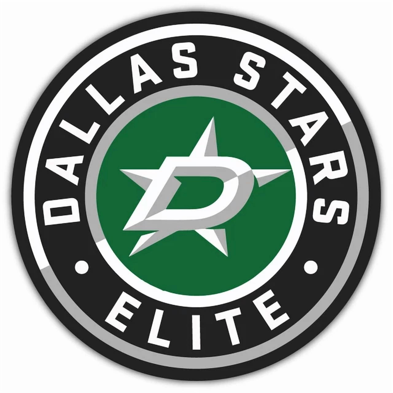 DOPASTICKER Dallas Stars Car Sticker Phone Water Bottle Stickers, Cars ...