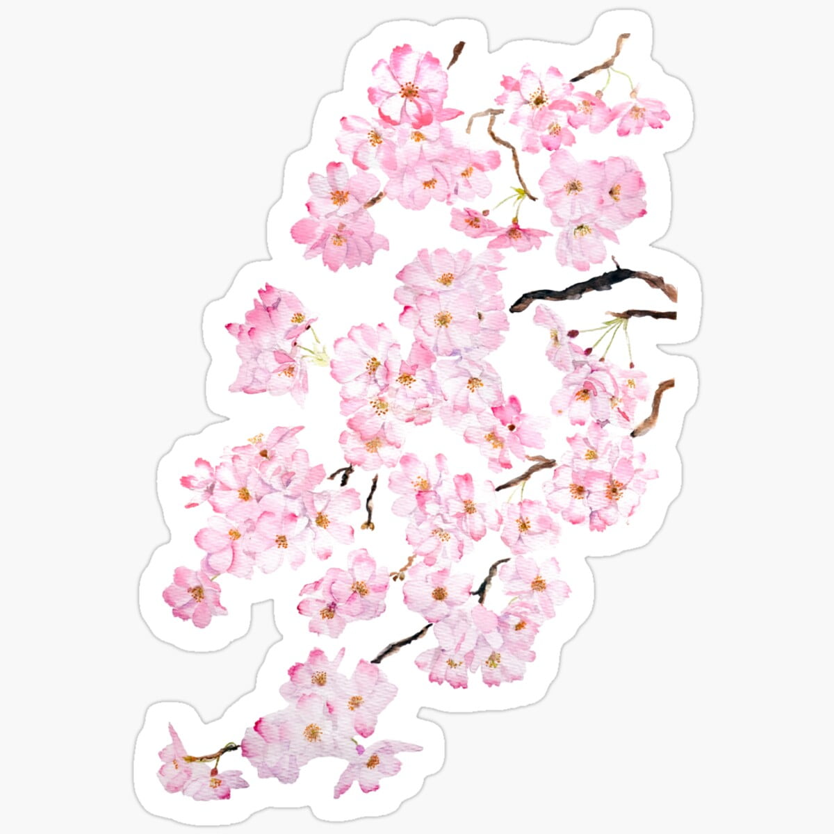 DOPASTICKER Delicate Pink Cherry Blossom Watercolor 2024 Sticker ...