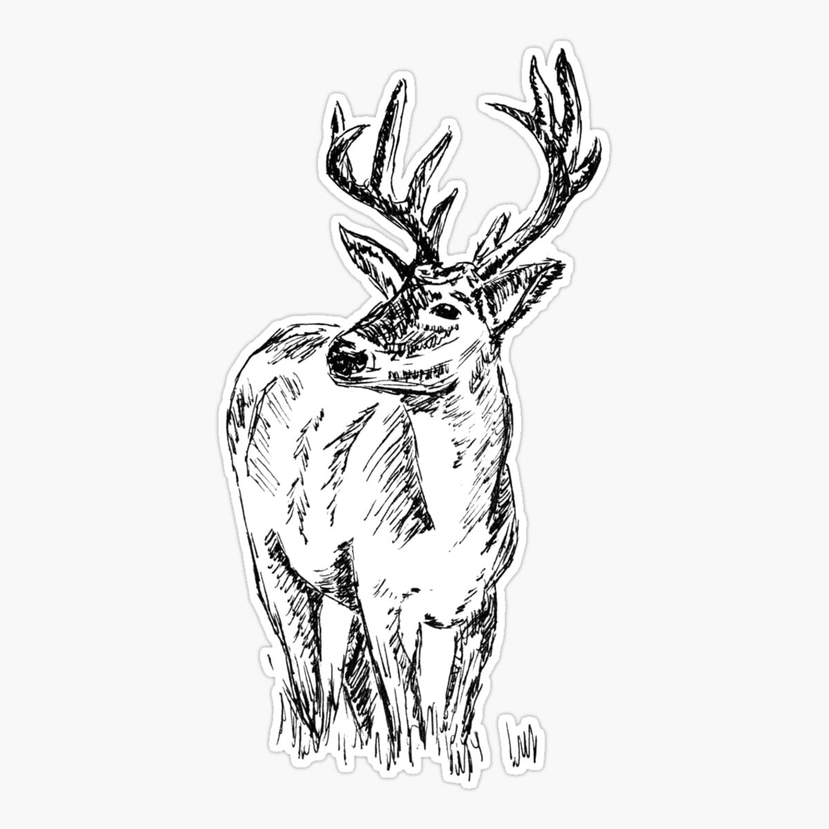 DOPASTICKER Dern The Deer Sticker, Phone Sticker Car Stickers, Birthday ...