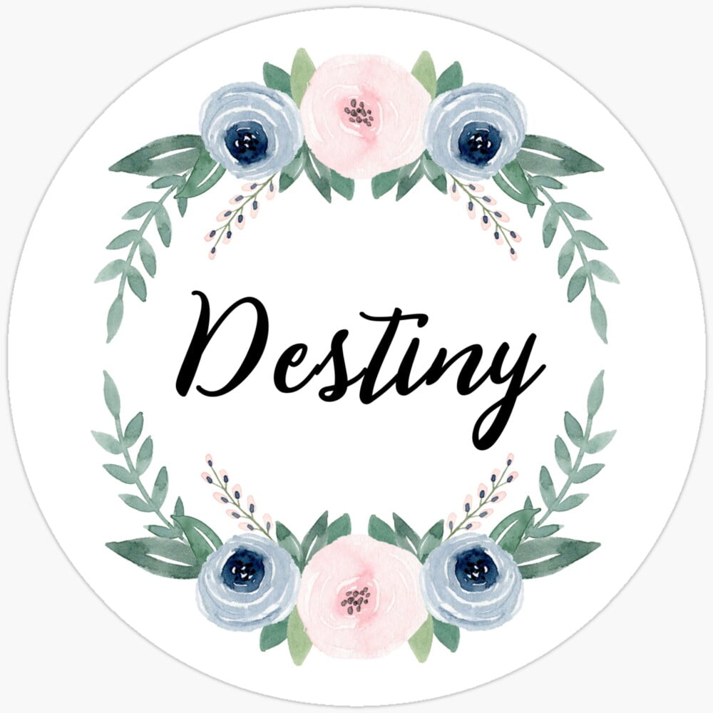 DOPASTICKER Destiny, Perfect Birthday Gift Everyone Phone Sticker ...