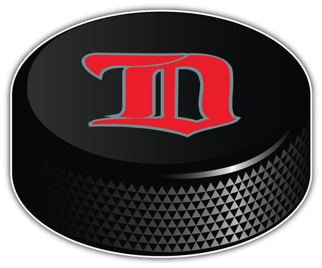 DOPASTICKER Detroit Red Wings Hockey Sport Logo Car Sticker Phone Water ...