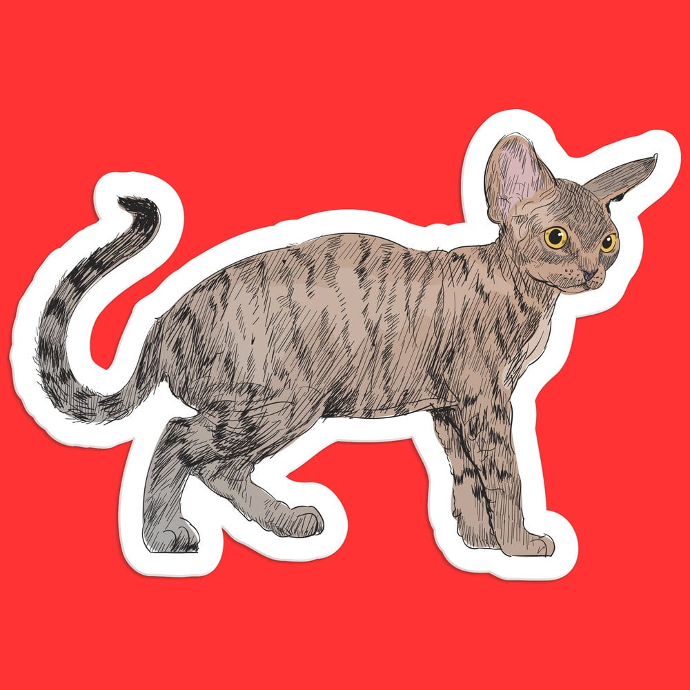 DOPASTICKER Devon Rex Cat Sticker, Curly Coated Cat Decal, Devon Rex ...