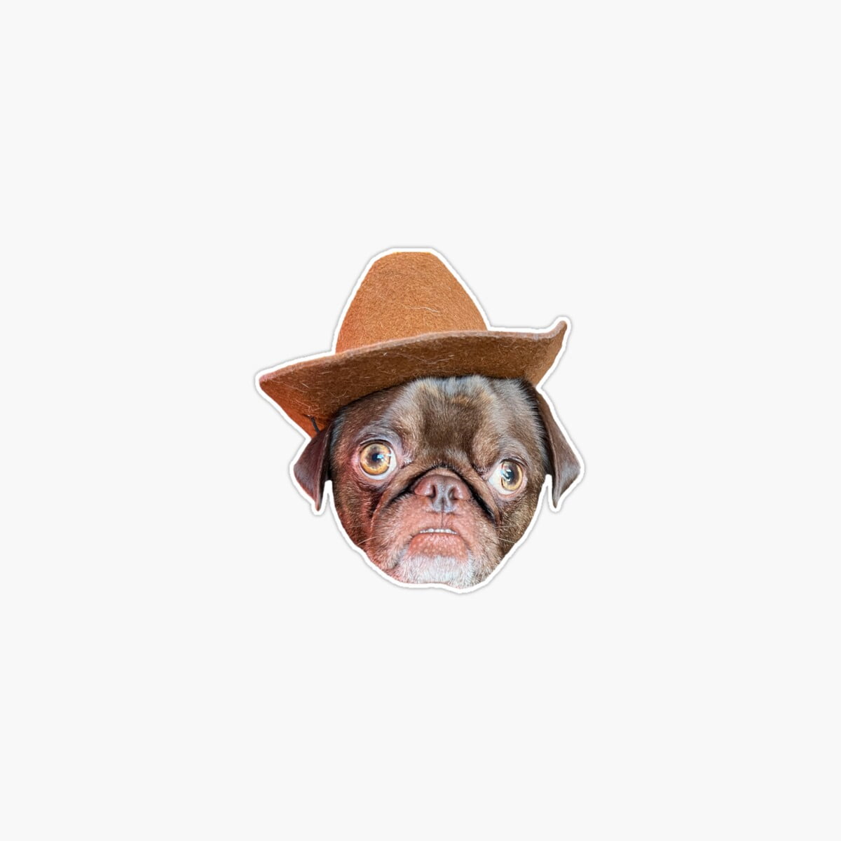 DOPASTICKER Dingdong Derek Sticker, Phone Sticker Water Bottle Sticker ...