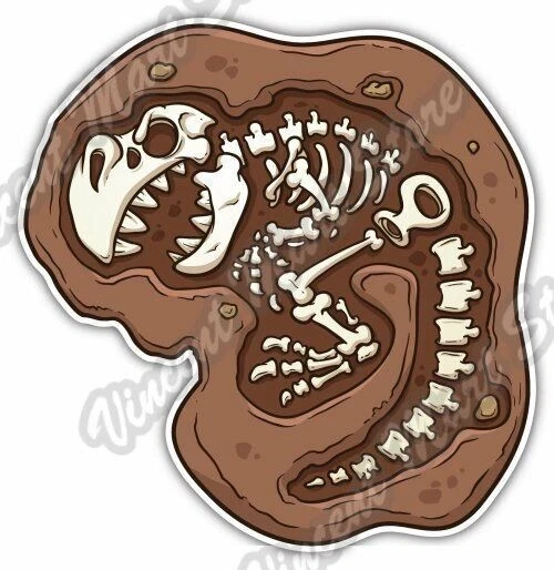 DOPASTICKER Dinosaur Fossil T-Rex Paleontology Gift Idea Car Sticker ...