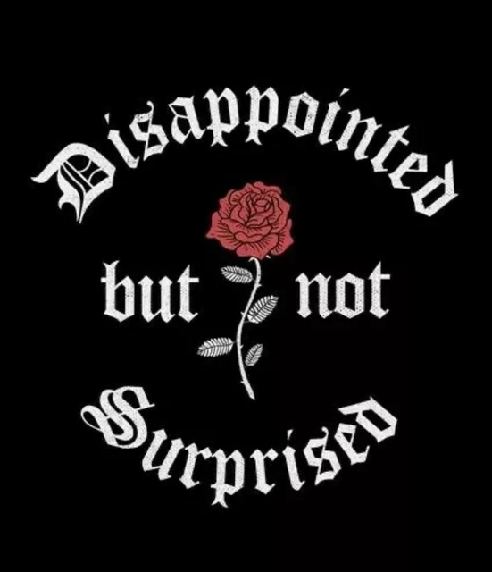 DOPASTICKER Disappointed Sticker But Not Surprised Retro Liar ...