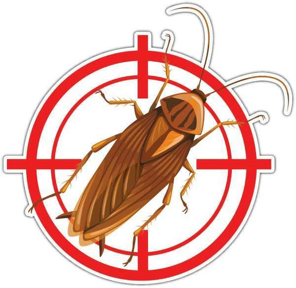 DOPASTICKER Disinfestation Cockroach Stop Pest Control Car Window ...