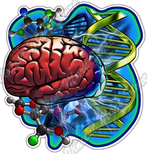 DOPASTICKER Dna Brain Cells Science Genetics School Car Sticker Decal ...