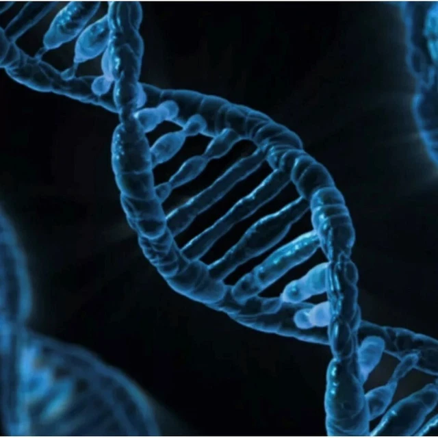 DOPASTICKER Dna Sticker Genetics Genes Science Medicine Blue ...