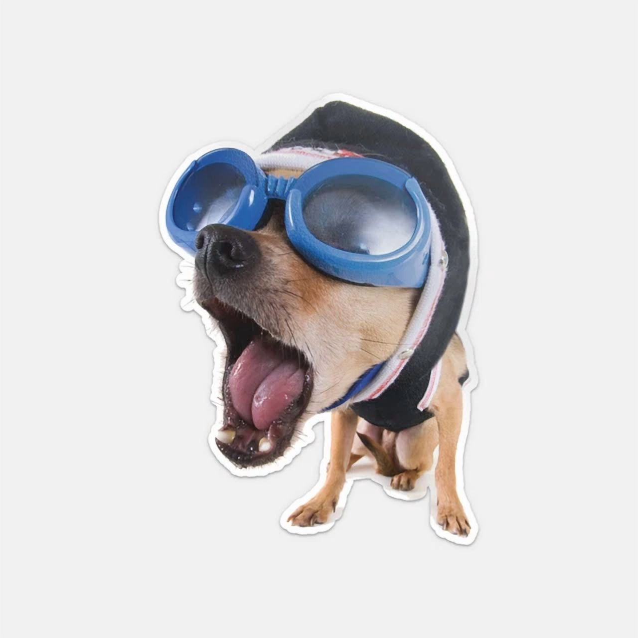 DOPASTICKER Dog Animal Sticker Decal Phone Decal Water Bottle Stickers ...