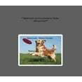 DOPASTICKER Dog Frisbee Sticker Catch Fetch Golden Retriever Pet ...
