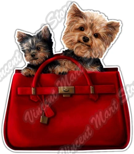 DOPASTICKER Dogs In Hand Bag Maltese Dog Purse Pet Pets Car Sticker ...