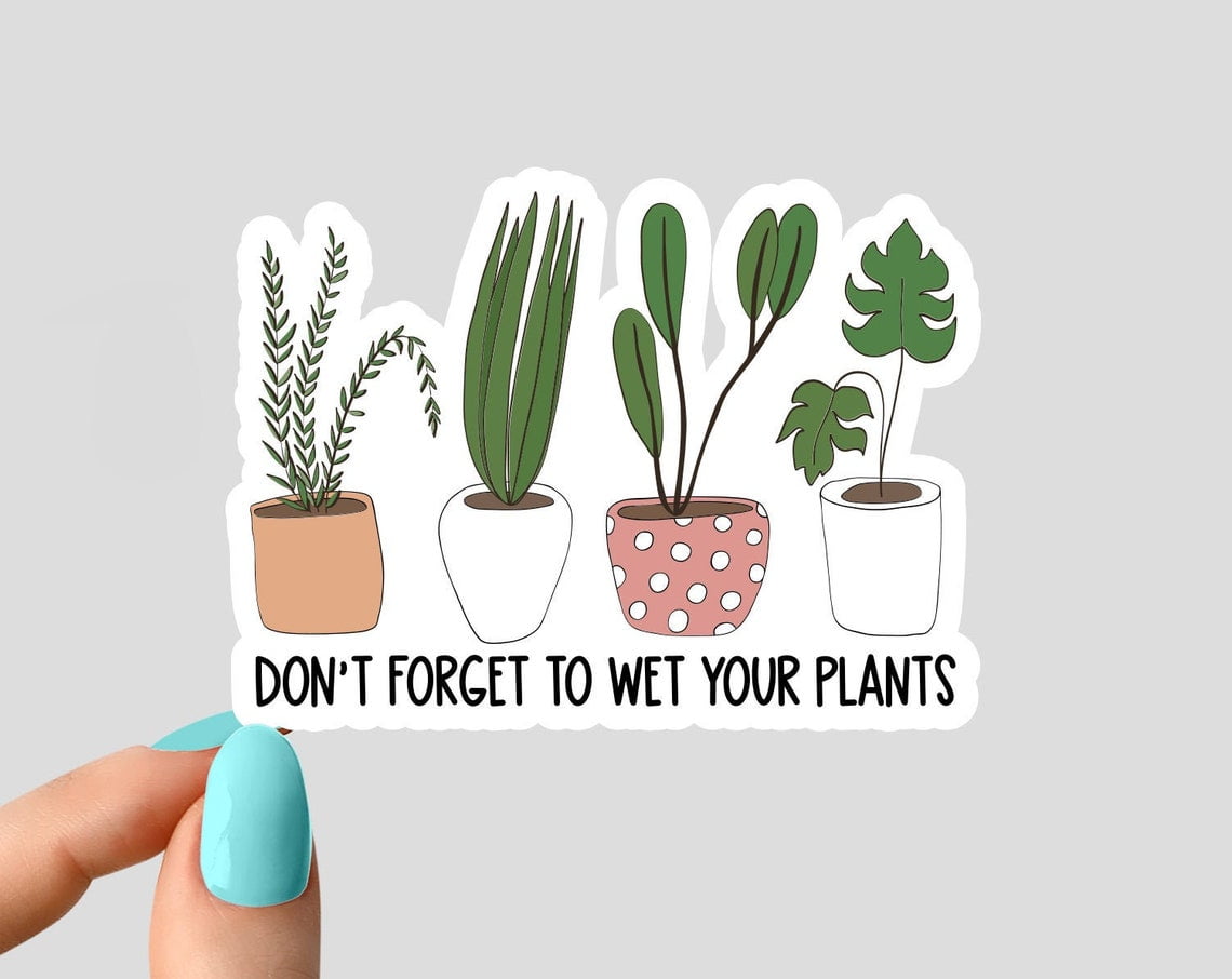 DOPASTICKER Dont Forget To We Your Plants Sticker, Potted Plants ...