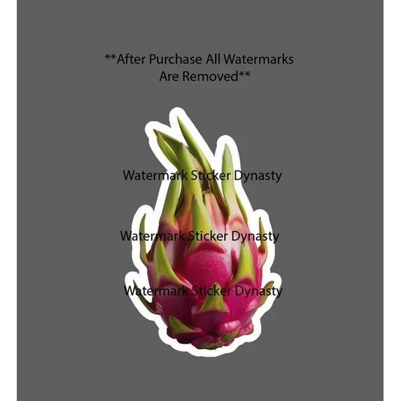 DOPASTICKER Dragon Fruit Sticker Exotic Food Health Plant Sticker Phone ...