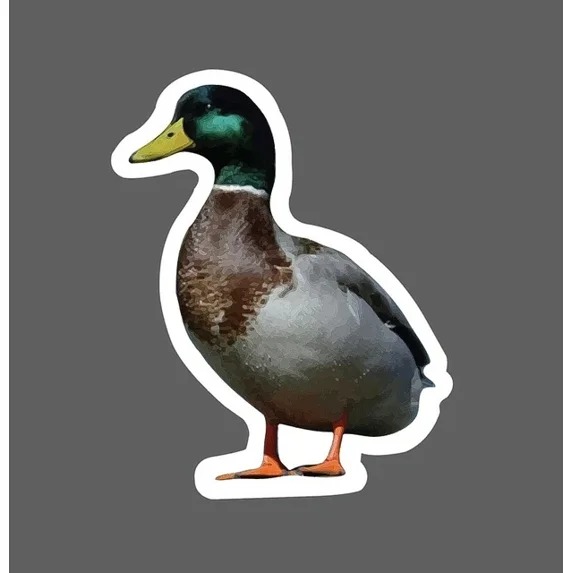 DOPASTICKER Duck Sticker Mallard Realistic Animal Sticker Phone Sticker ...