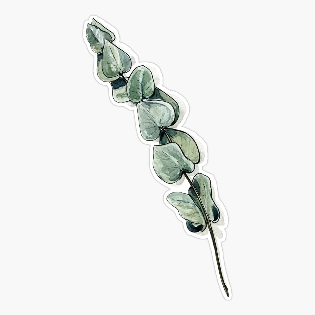 DOPASTICKER Dusty Eucalyptus Sticker, Phone Sticker Water Bottle ...