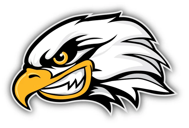 DOPASTICKER Eagle Head Sticker Decal Phone Decal Water Bottle Stickers ...