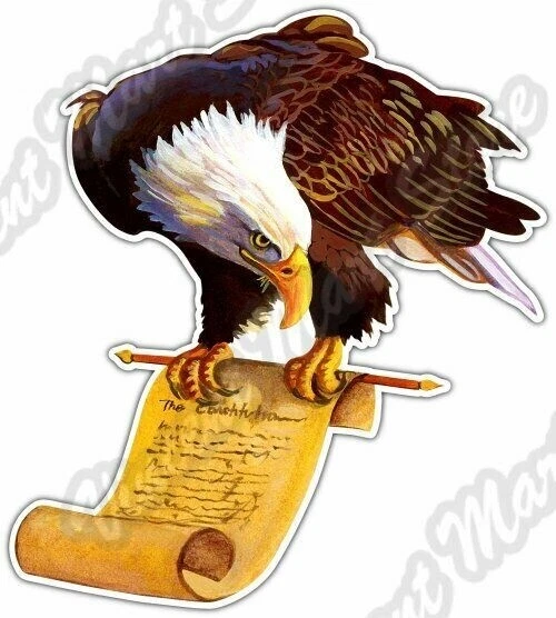 DOPASTICKER Eagle Scroll Constitution Patriotic Car Window Sticker ...