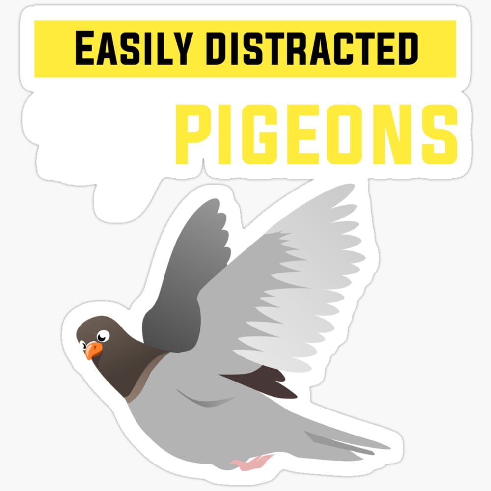 DOPASTICKER Easily Distracted By Pigeons, Pigeons Sticker Phone Decal ...