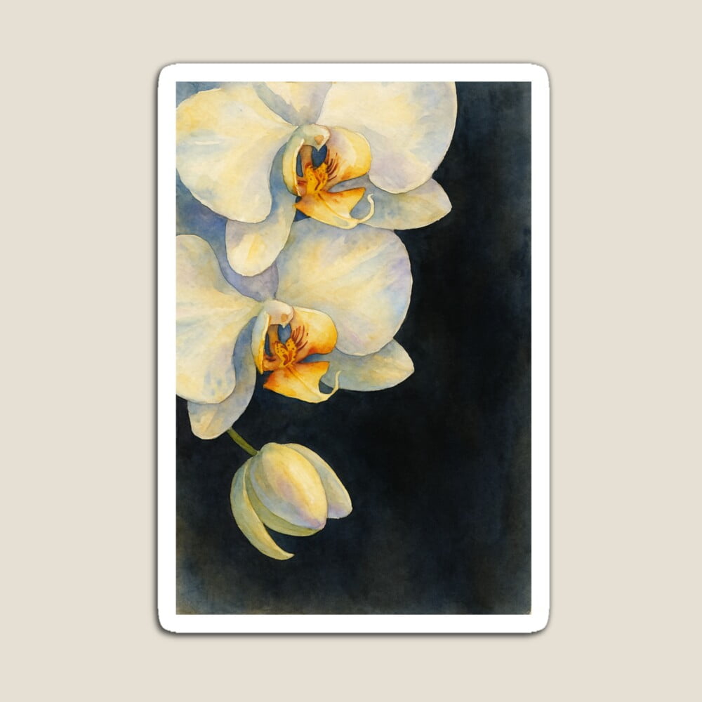 DOPASTICKER Elegant White Orchid Ai-Assisted Wrcolor Based On Original ...