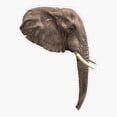 DOPASTICKER Elephant Head Cute Sticker, Phone Sticker Car Stickers ...
