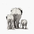 DOPASTICKER Elephant Mama With Babies, Pencil Drawing, Big Animals ...