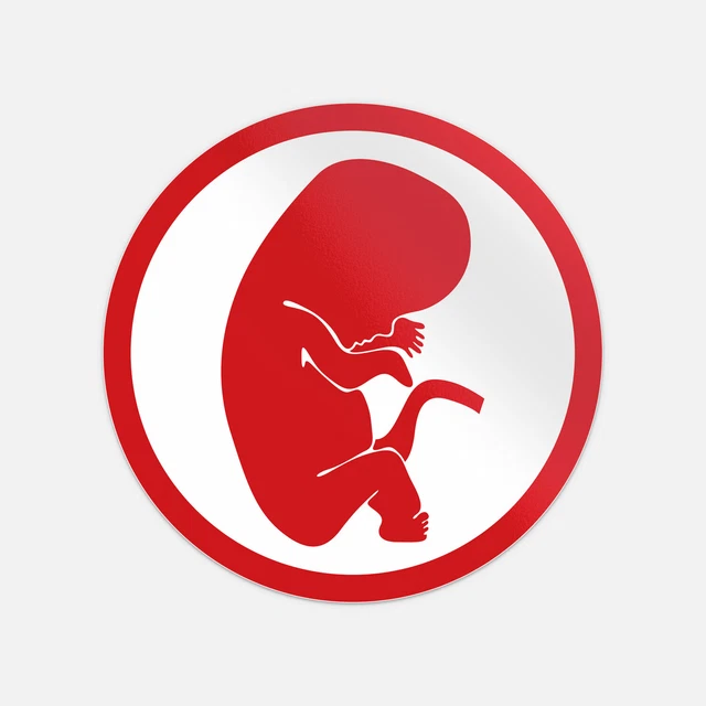 DOPASTICKER Embryo Born Pregnancy Sign Sticker Decal Phone Decal Water ...