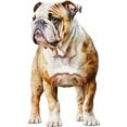 DOPASTICKER English Bulldog Car Sticker Dogs Sticker Phone Sticker ...