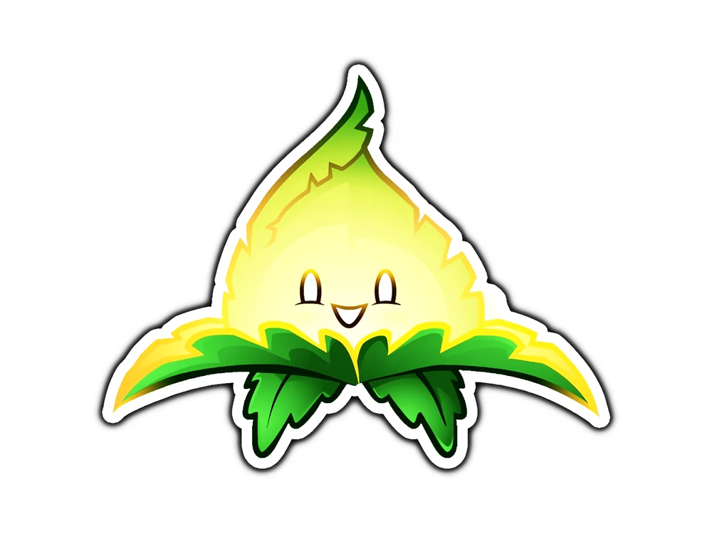 DOPASTICKER Enlighten Mint Sticker Decal Phone Decal Water Bottle ...
