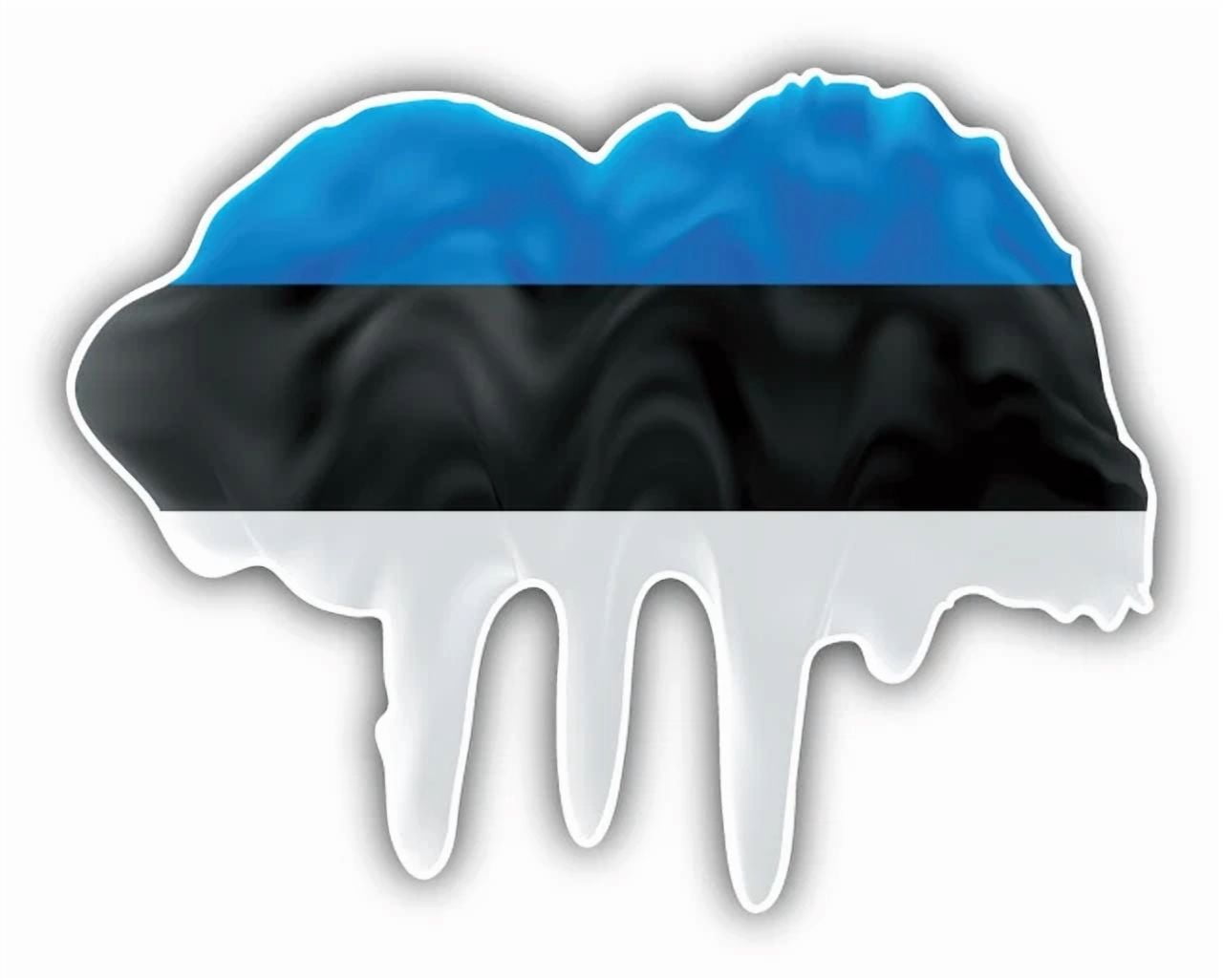 DOPASTICKER Estonia Flag Blot Sticker Decal Phone Decal Water Bottle ...