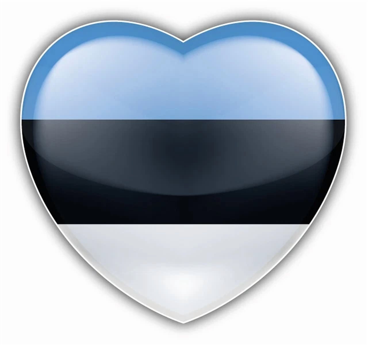 DOPASTICKER Estonia Heart Flag Sticker Decal Phone Decal Water Bottle ...