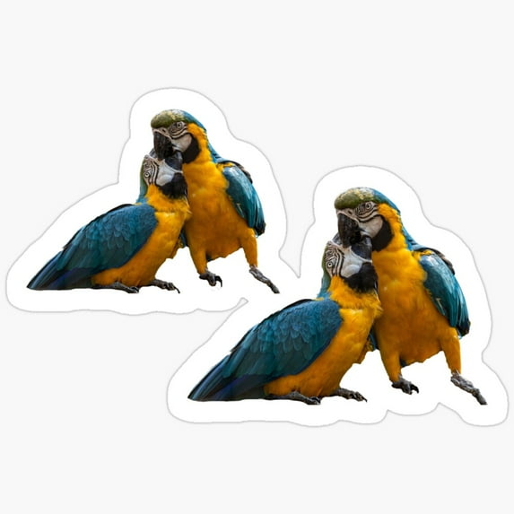 DOPASTICKER Everybirdy Golder Birds Pattern Perfect Gift Everyone Phone ...