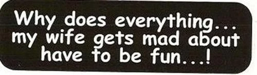 DOPASTICKER Why Does Everything My Wife Gets Mad About Have To Be Fun ...