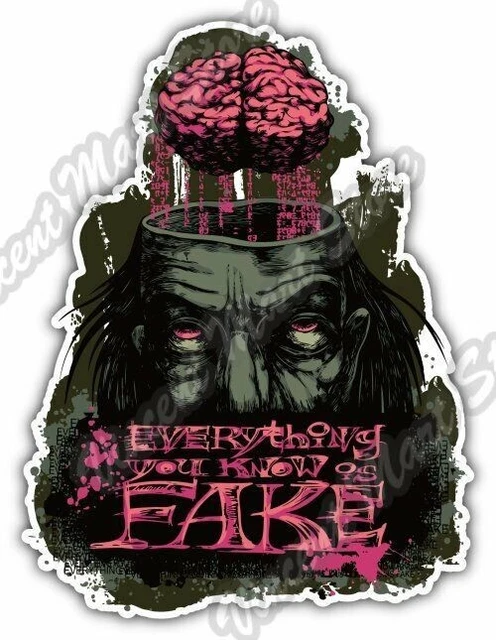 DOPASTICKER Everything You Know Is Fake Brain Car Window Sticker Decal ...
