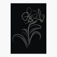 DOPASTICKER Exotic Orchid Natural Beauty Of Mexico In Art And Sticker ...