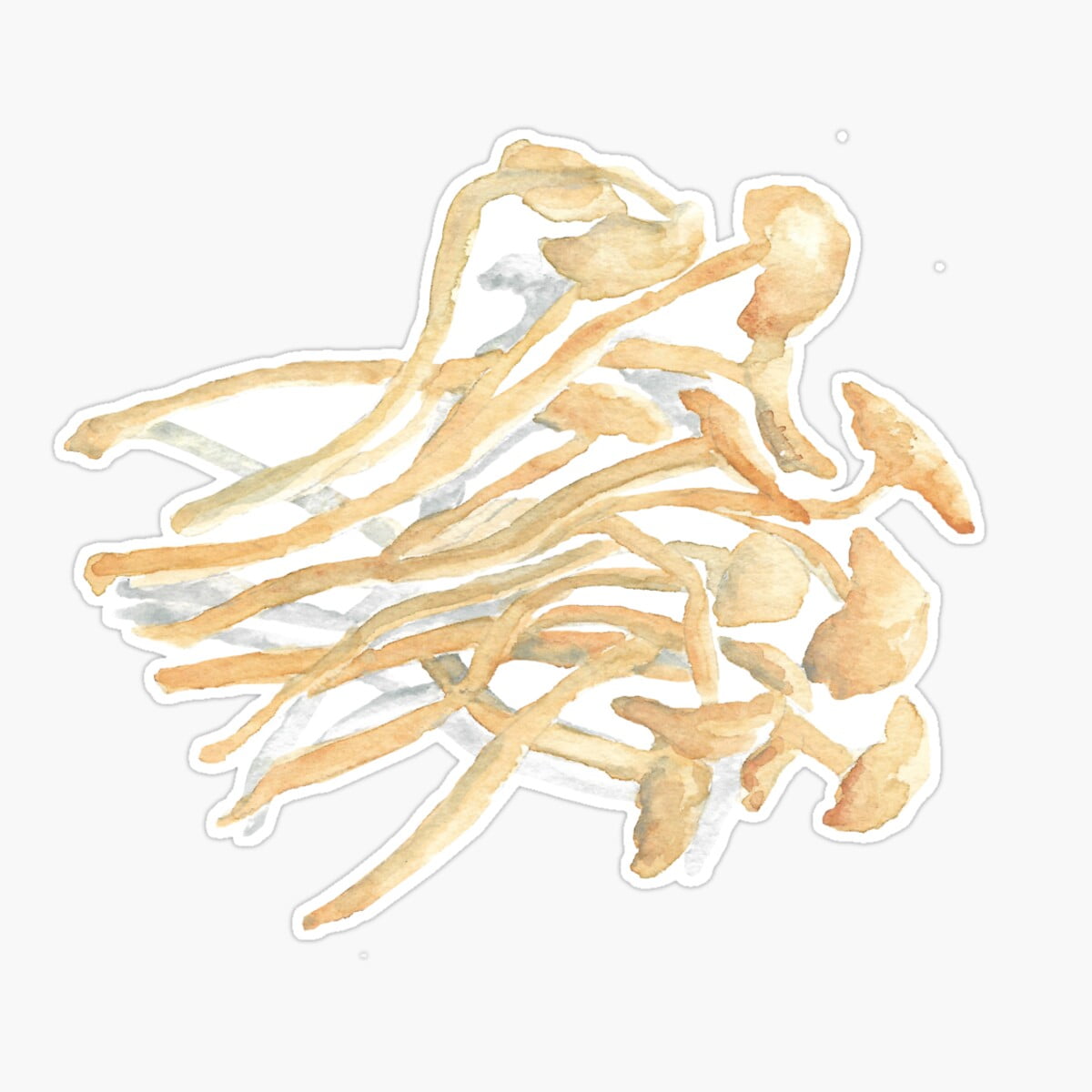 DOPASTICKER Exquisite Watercolor Enoki Mushrooms, A Delight Or Oodies ...