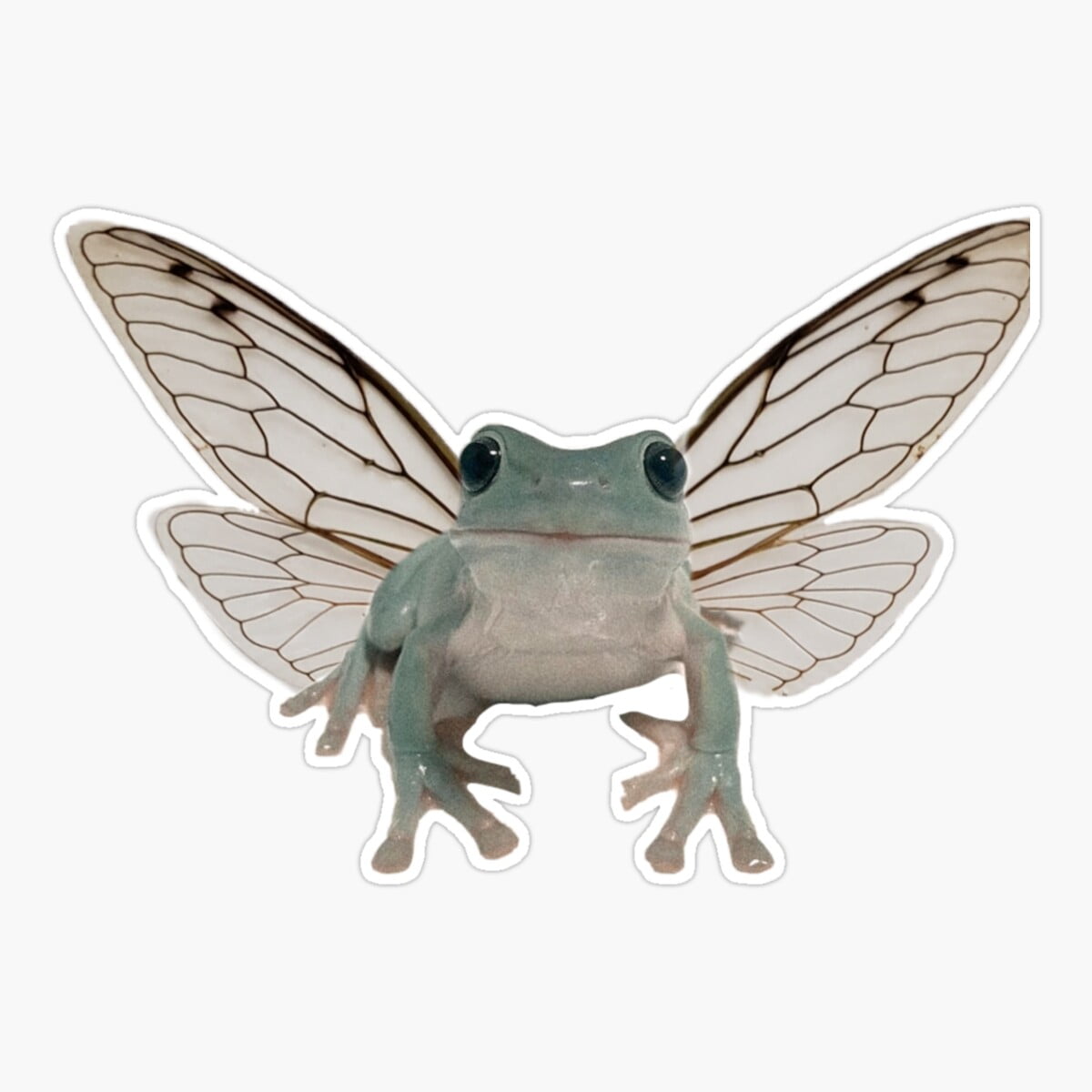 DOPASTICKER Fairy Frog Sticker, Phone Sticker Car Stickers, Birthday ...