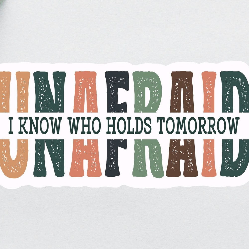 DOPASTICKER Faith Over Fear Sticker, Christian Sticker, Words Of ...