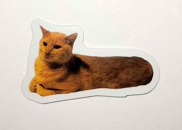 DOPASTICKER Favorite Internets Small Sticker Phone Decal Water Bottle ...