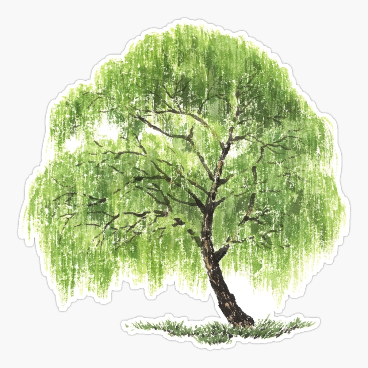 DOPASTICKER February Birthday Willow Tree Sticker, Phone Sticker Car ...