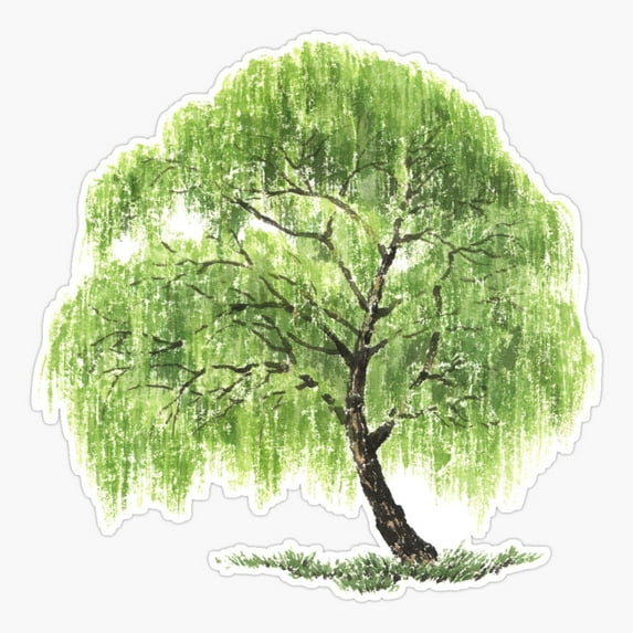 DOPASTICKER February Birthday Willow Tree Sticker, Phone Sticker Car ...