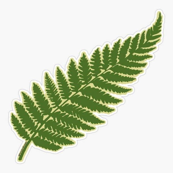 DOPASTICKER Fern Sticker, Phone Sticker Water Bottle Sticker Car ...
