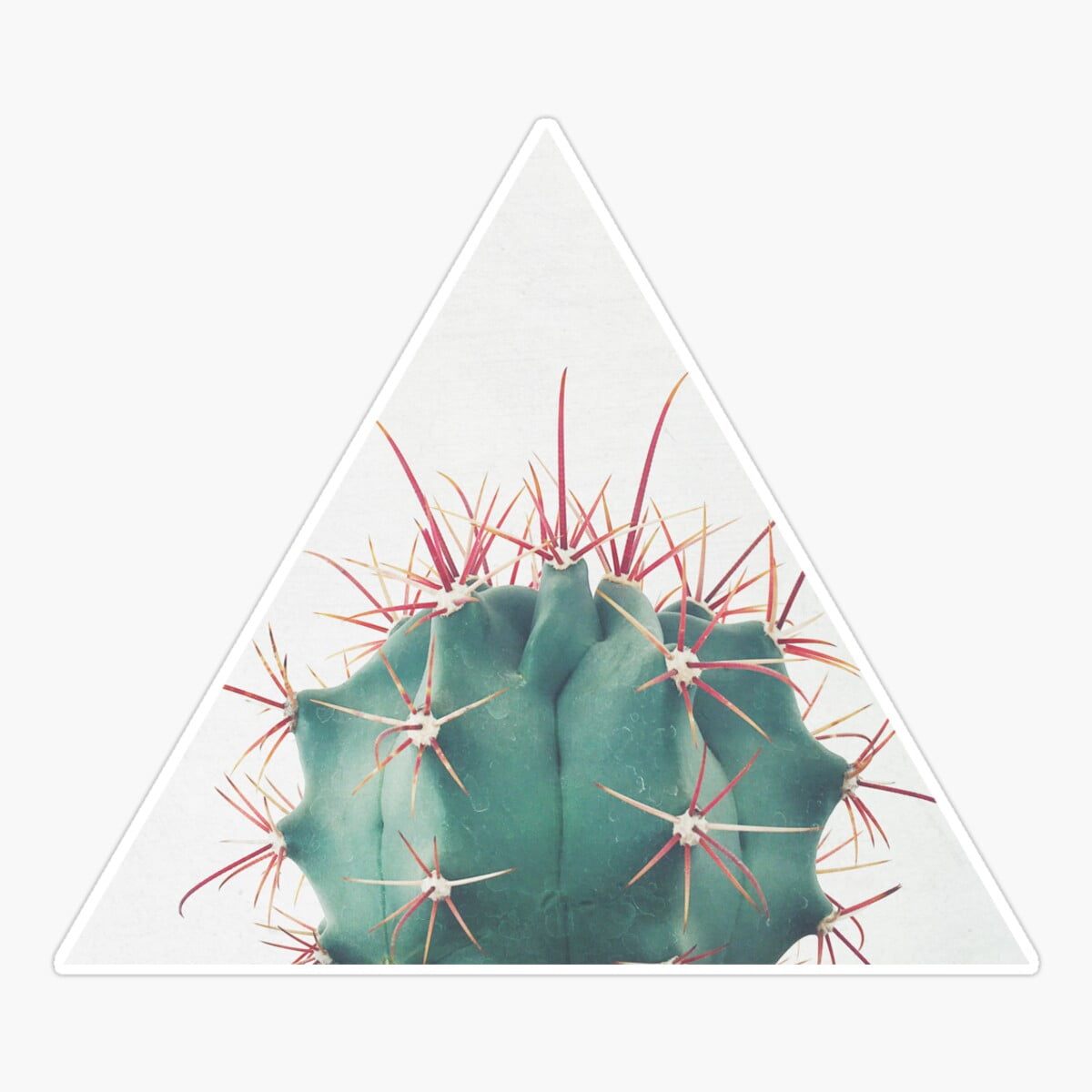 DOPASTICKER Ferocactus Sticker, Phone Sticker Car Stickers, Birthday ...