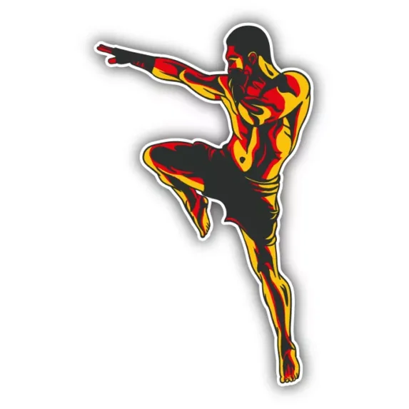 DOPASTICKER Fighter Sticker Decal Phone Decal Water Bottle Stickers ...