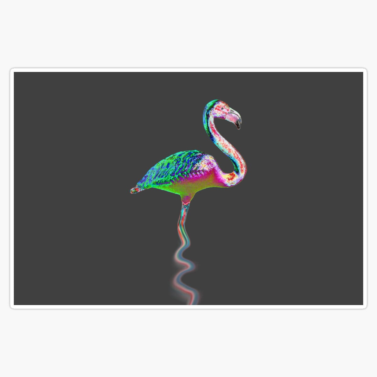 DOPASTICKER Flamingo 1977 Sticker, Phone Sticker Water Bottle Sticker ...