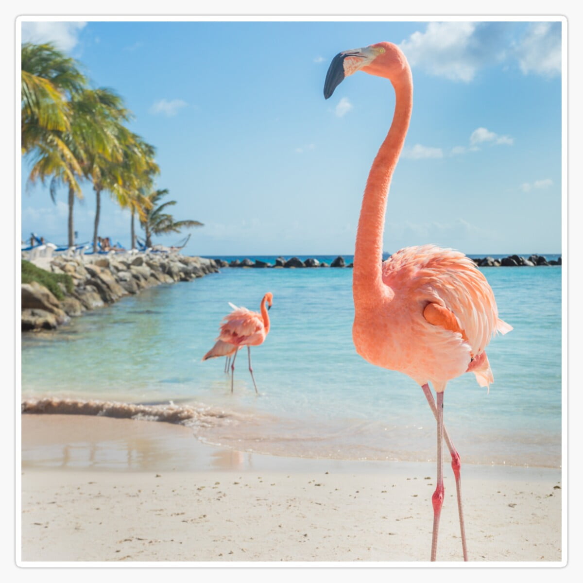 DOPASTICKER Flamingo Background Sticker, Phone Sticker Car Stickers ...