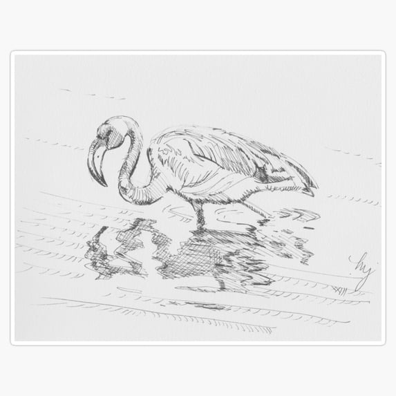 DOPASTICKER Flamingo Drawing Sticker, Phone Sticker Water Bottle ...